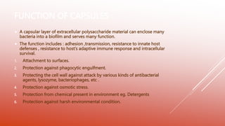 Bacterial Capsules: Introduction, Examples and Functions | PPTX