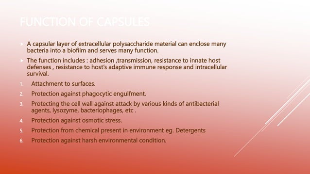 Bacterial Capsules: Introduction, Examples and Functions | PPTX ...