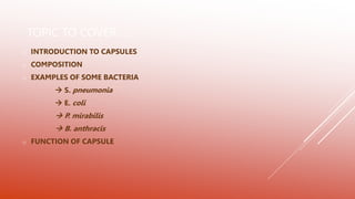 Bacterial Capsules: Introduction, Examples and Functions | PPTX