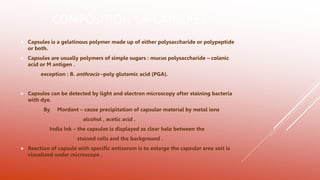 Bacterial Capsules: Introduction, Examples and Functions | PPTX