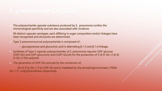 Bacterial Capsules: Introduction, Examples and Functions | PPTX ...