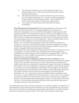Bacterial cell division | DOCX