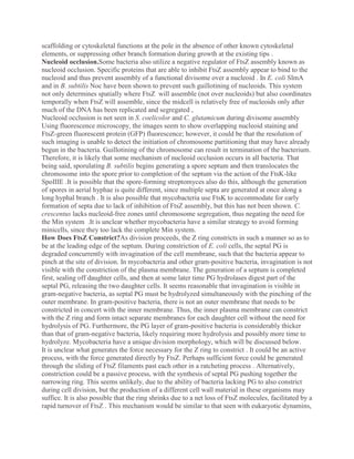 Bacterial cell division | DOCX