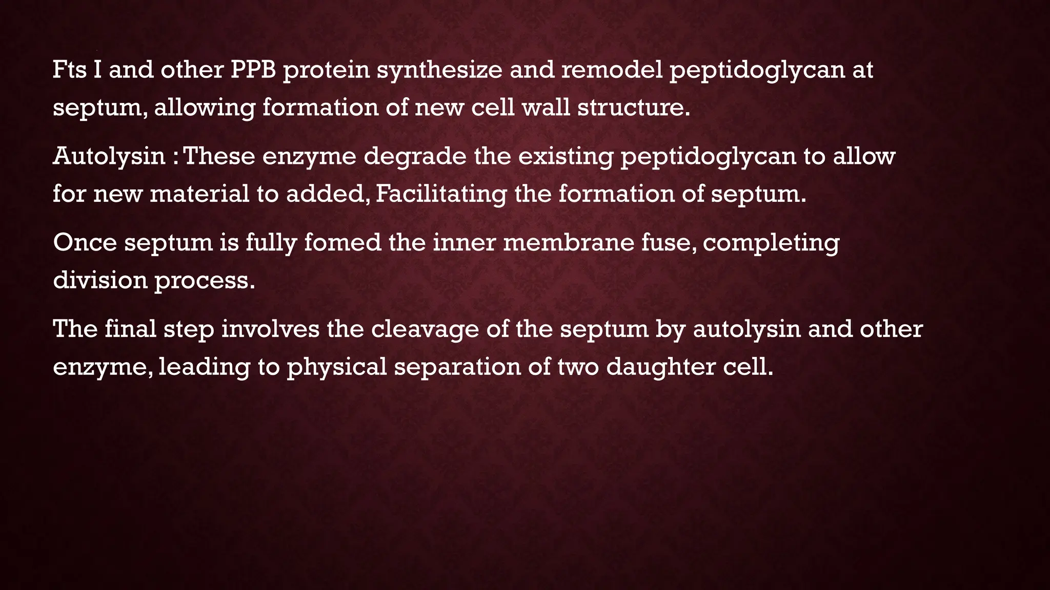 Bacterial Cell Division.............pptx