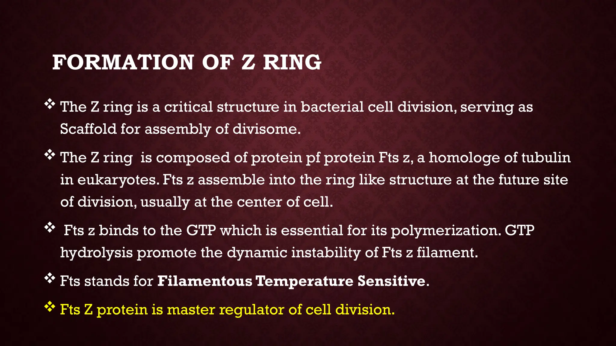 Bacterial Cell Division.............pptx