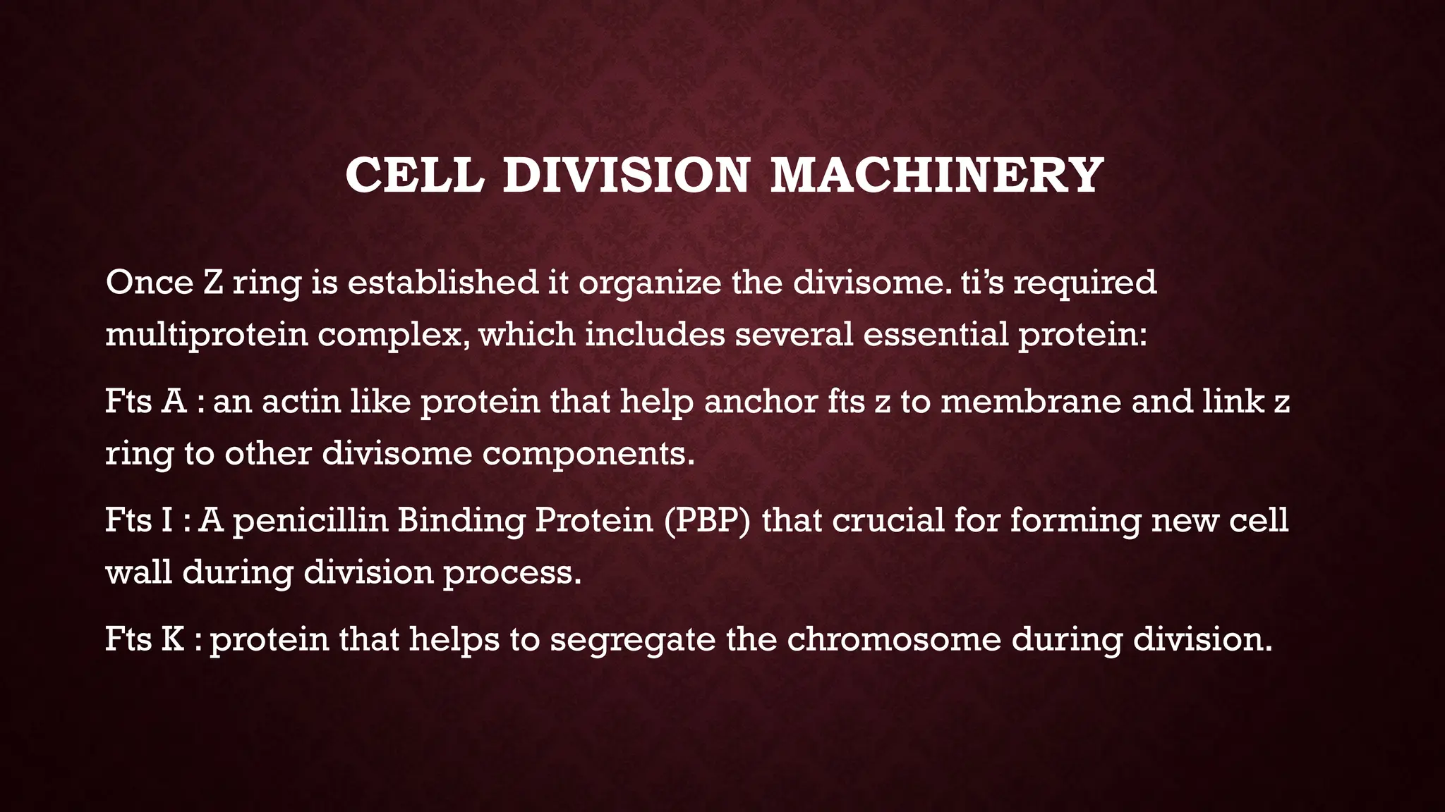 Bacterial Cell Division.............pptx