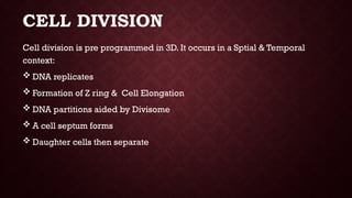 Bacterial Cell Division.............pptx