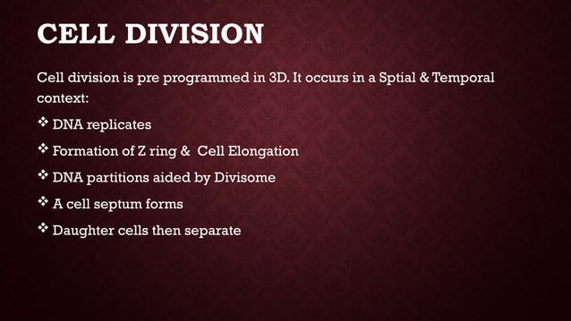 Bacterial Cell Division.............pptx