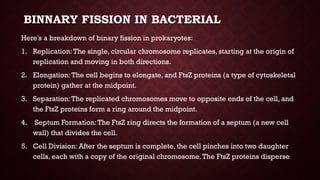 Bacterial Cell Division.............pptx