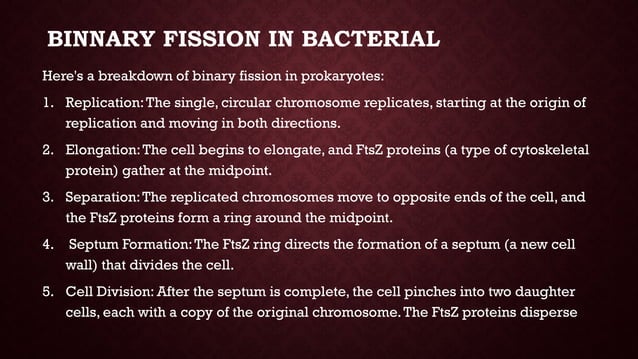 Bacterial Cell Division.............pptx