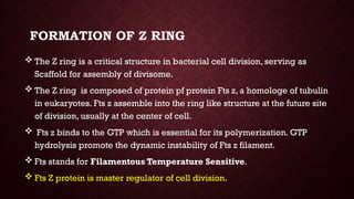 Bacterial Cell Division.............pptx