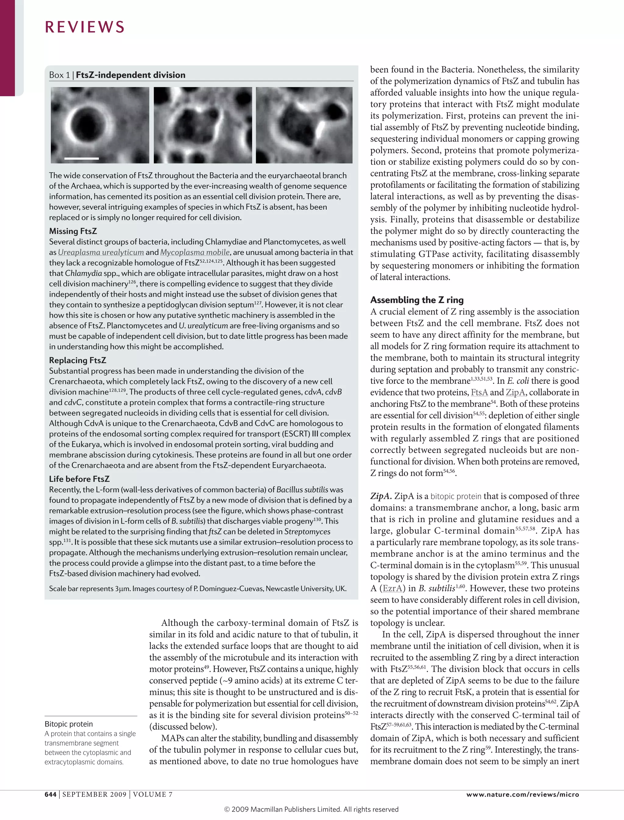 Bacterial cell division-_assembly_maintenance_and_disassembly_of_the_z ...