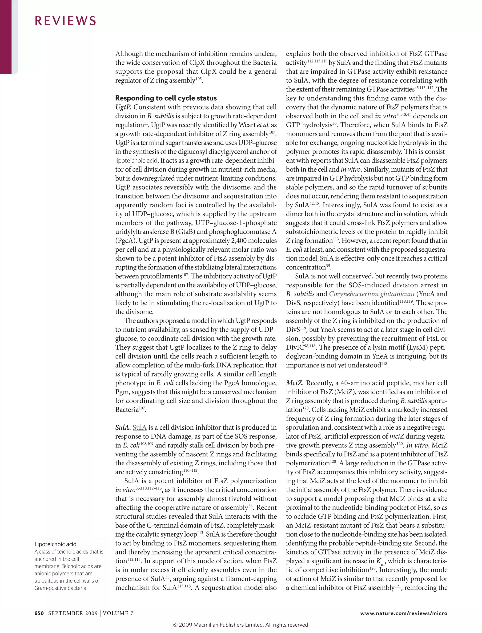 Bacterial cell division-_assembly_maintenance_and_disassembly_of_the_z ...