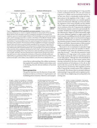 Bacterial cell division-_assembly_maintenance_and_disassembly_of_the_z ...