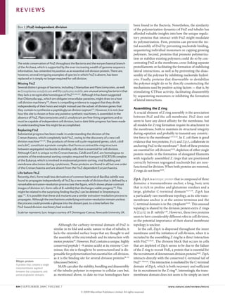 Bacterial cell division-_assembly_maintenance_and_disassembly_of_the_z ...