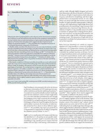 Bacterial cell division-_assembly_maintenance_and_disassembly_of_the_z ...