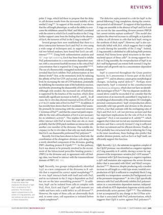Bacterial cell division-_assembly_maintenance_and_disassembly_of_the_z ...