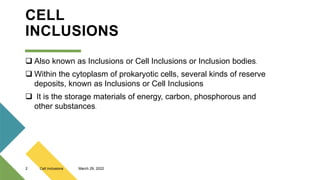 BACTERIAL CELL INCLUSIONS.pptx
