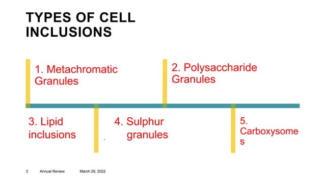 BACTERIAL CELL INCLUSIONS.pptx
