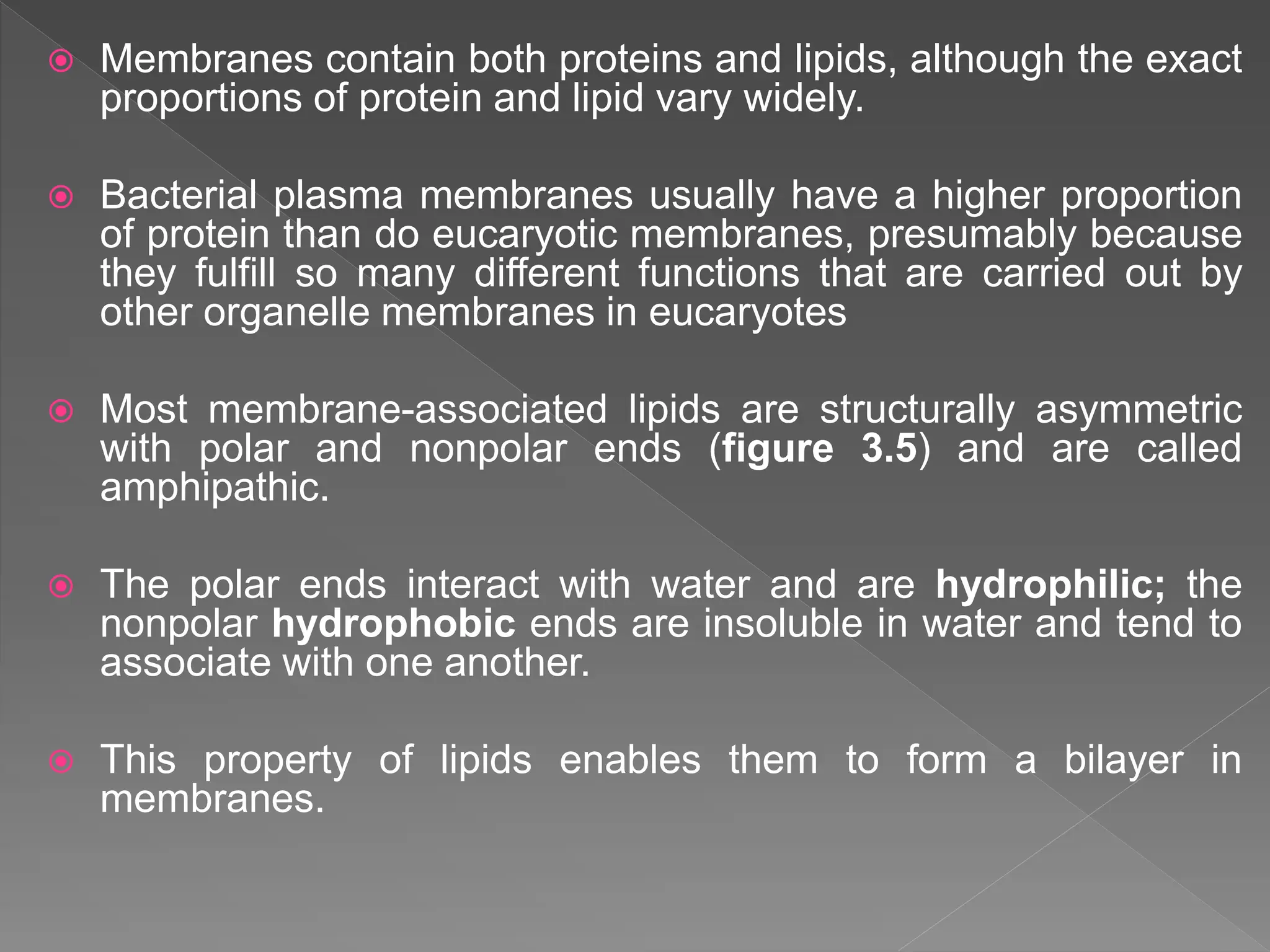 bacterial cell membrane (lipid bilayer)pptx | PPTX