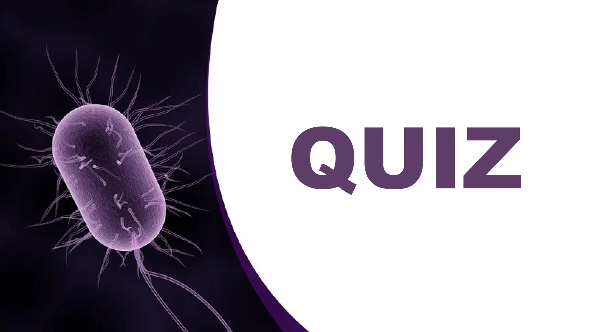 BACTERIAL CELL QUIZ ( Bacterial Cell Type, Parts and Functions) | PPT