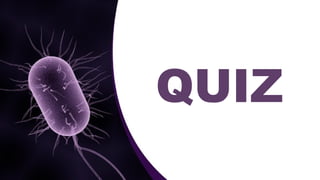 BACTERIAL CELL QUIZ ( Bacterial Cell Type, Parts and Functions) | PPT