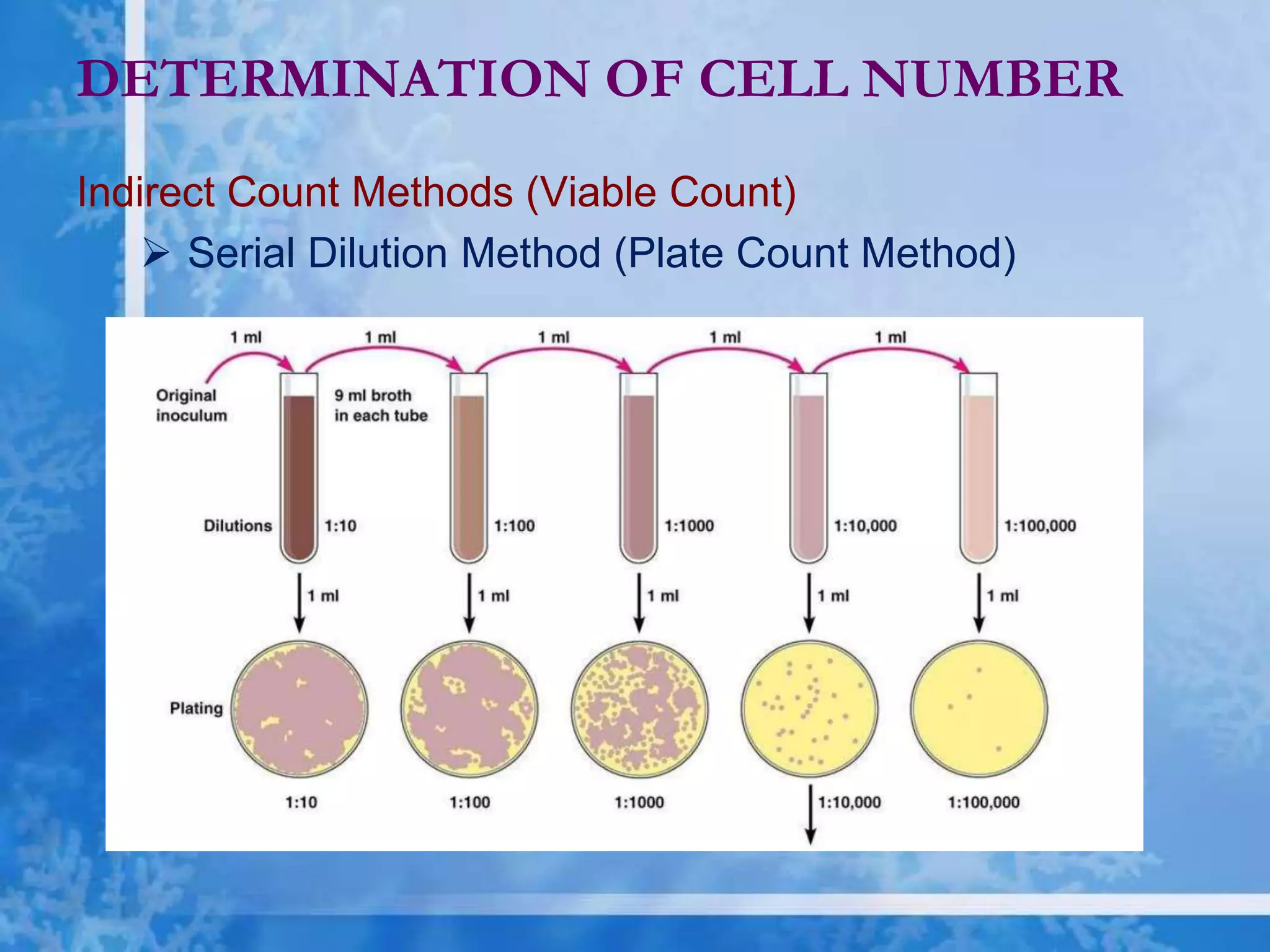 Bacterial Cells Enumeration | PPTX