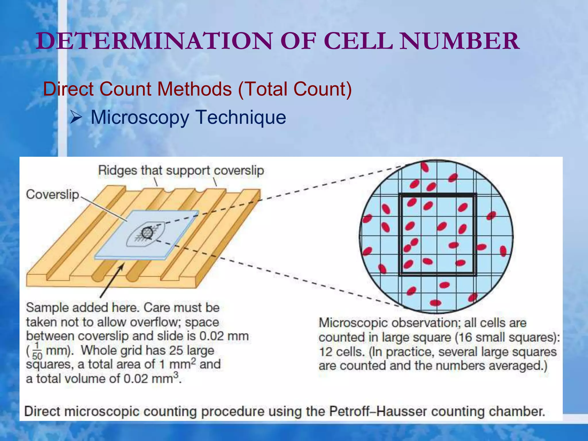 Bacterial Cells Enumeration Pptx 5345