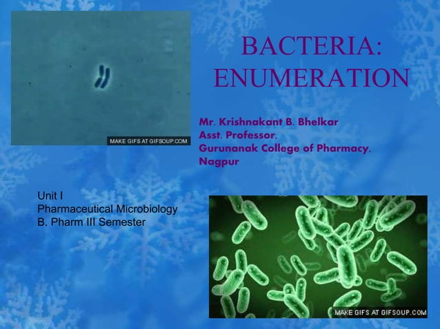 Bacterial Cells Enumeration | PPTX | Chemistry | Science