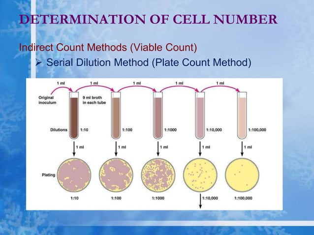 Bacterial Cells Enumeration | PPT