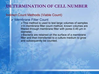 Bacterial Cells Enumeration | PPTX