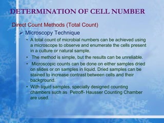 Bacterial Cells Enumeration | PPTX