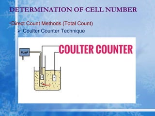 Bacterial Cells Enumeration | PPTX