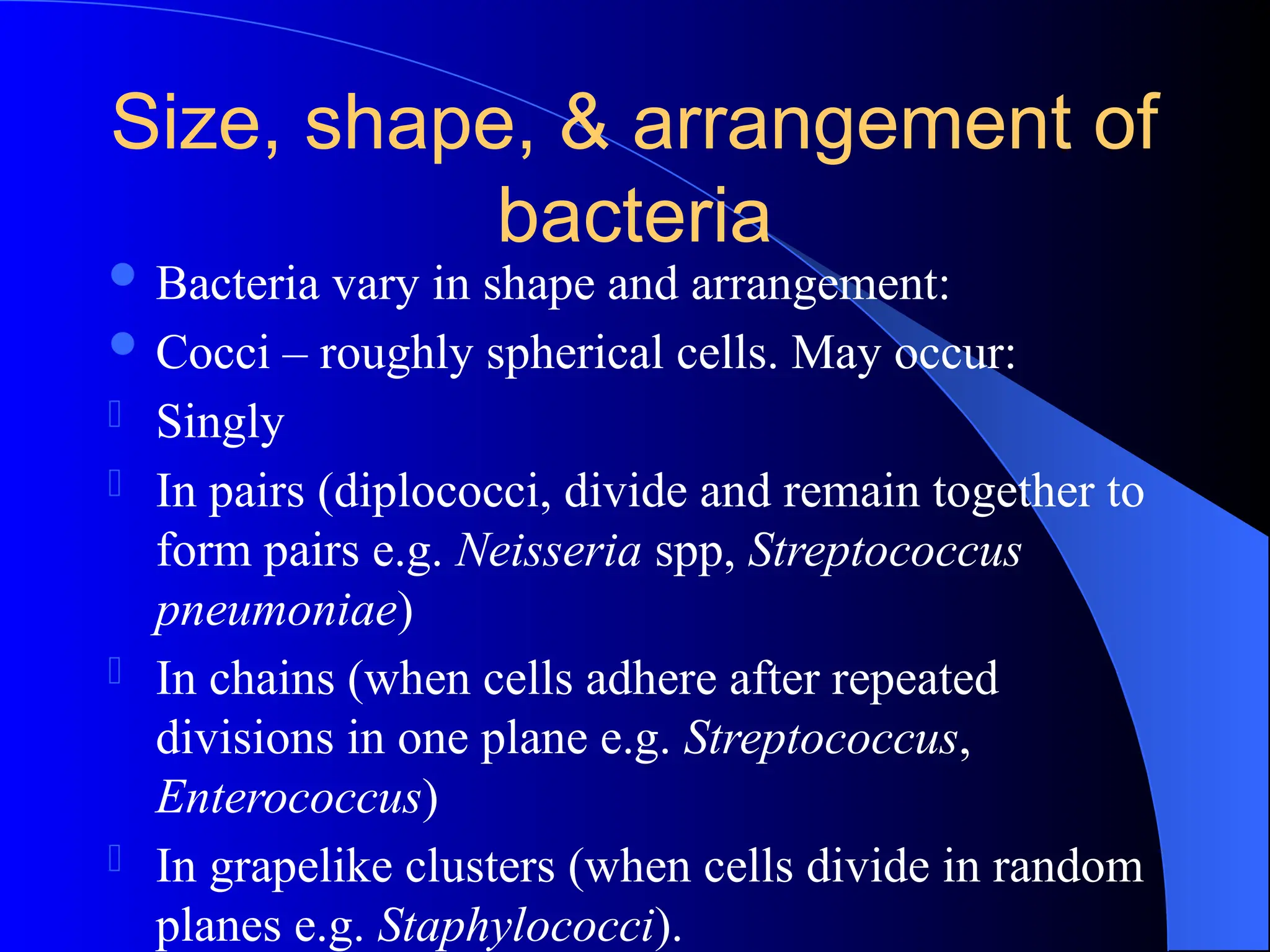 Bacterial Cell Structure and how it is important | PPT