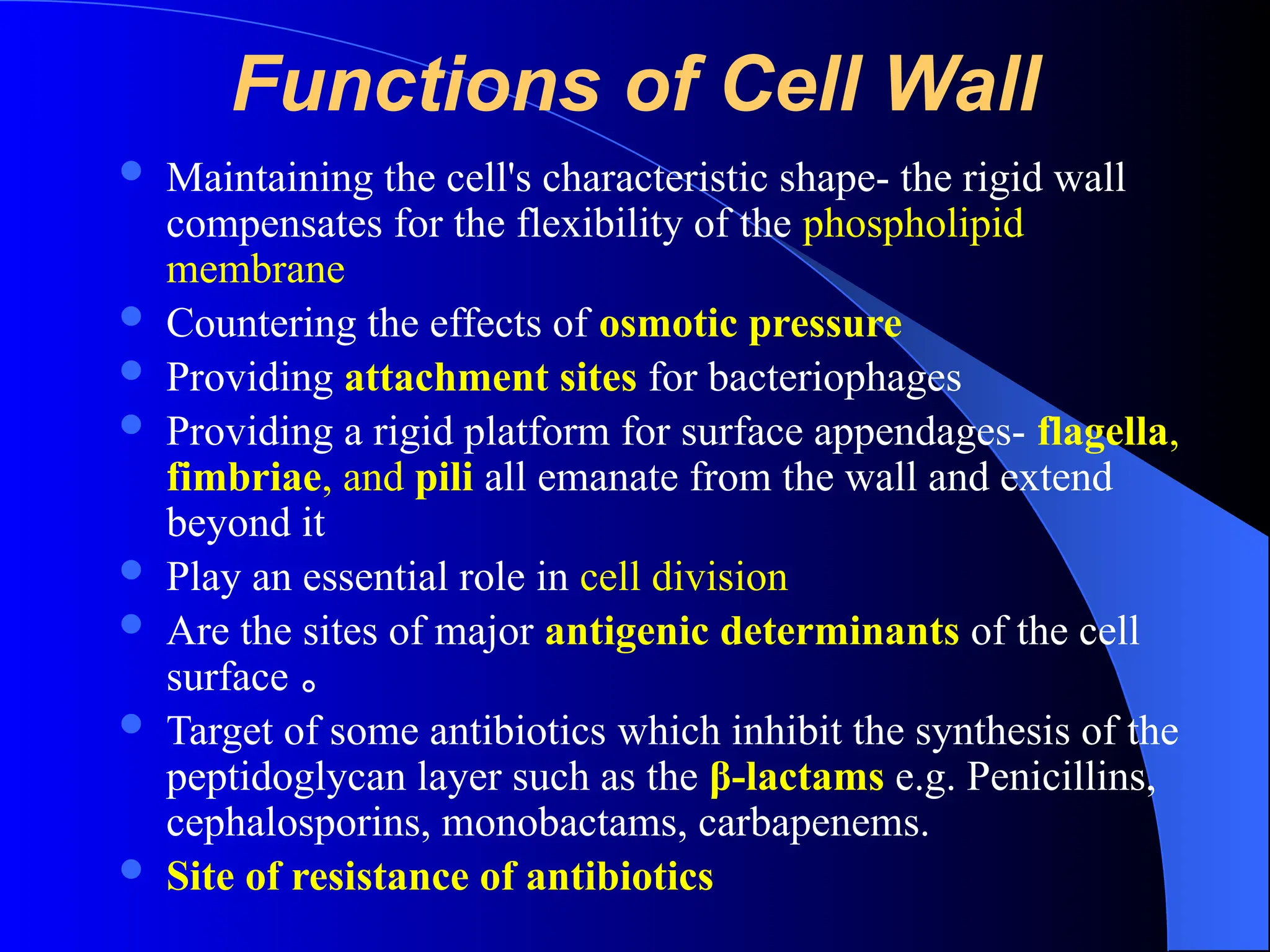 Bacterial Cell Structure and how it is important | PPT