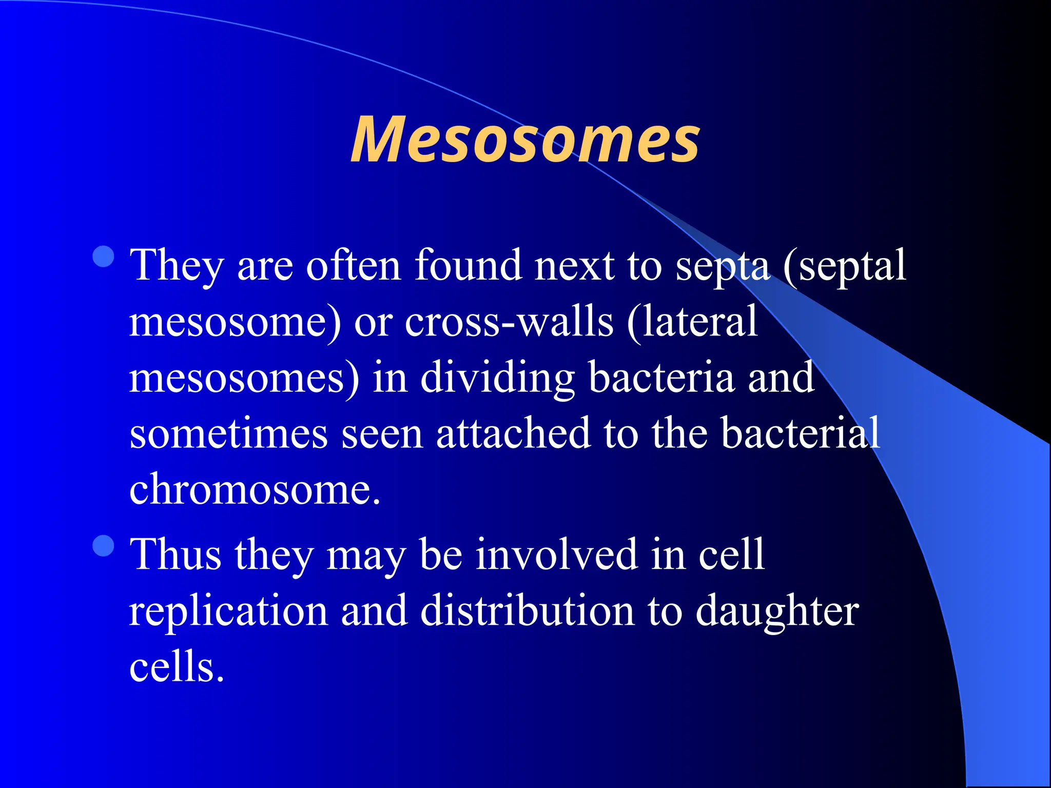 Bacterial Cell Structure and how it is important | PPT