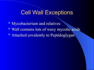 Bacterial Cell Structure and how it is important | PPTX