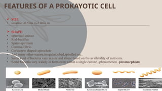 BACTERIAL CELL STRUCTURE AND FUNCTION.pptx