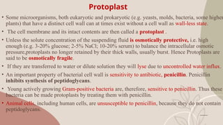 BACTERIAL CELL STRUCTURE AND FUNCTION.pptx