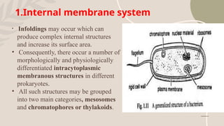 BACTERIAL CELL STRUCTURE AND FUNCTION.pptx