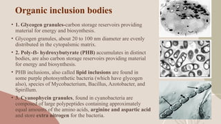 BACTERIAL CELL STRUCTURE AND FUNCTION.pptx