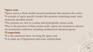 BACTERIAL CELL STRUCTURE AND FUNCTION.pptx