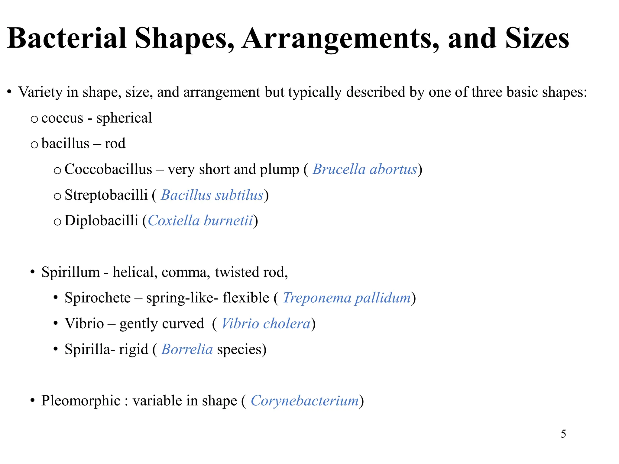 Bacterial Cell structure and Function I.pdf