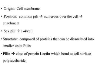 Bacterial Cell structure and Function I.pdf