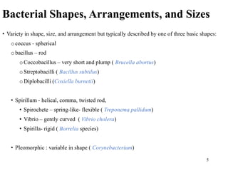 Bacterial Cell structure and Function I.pdf