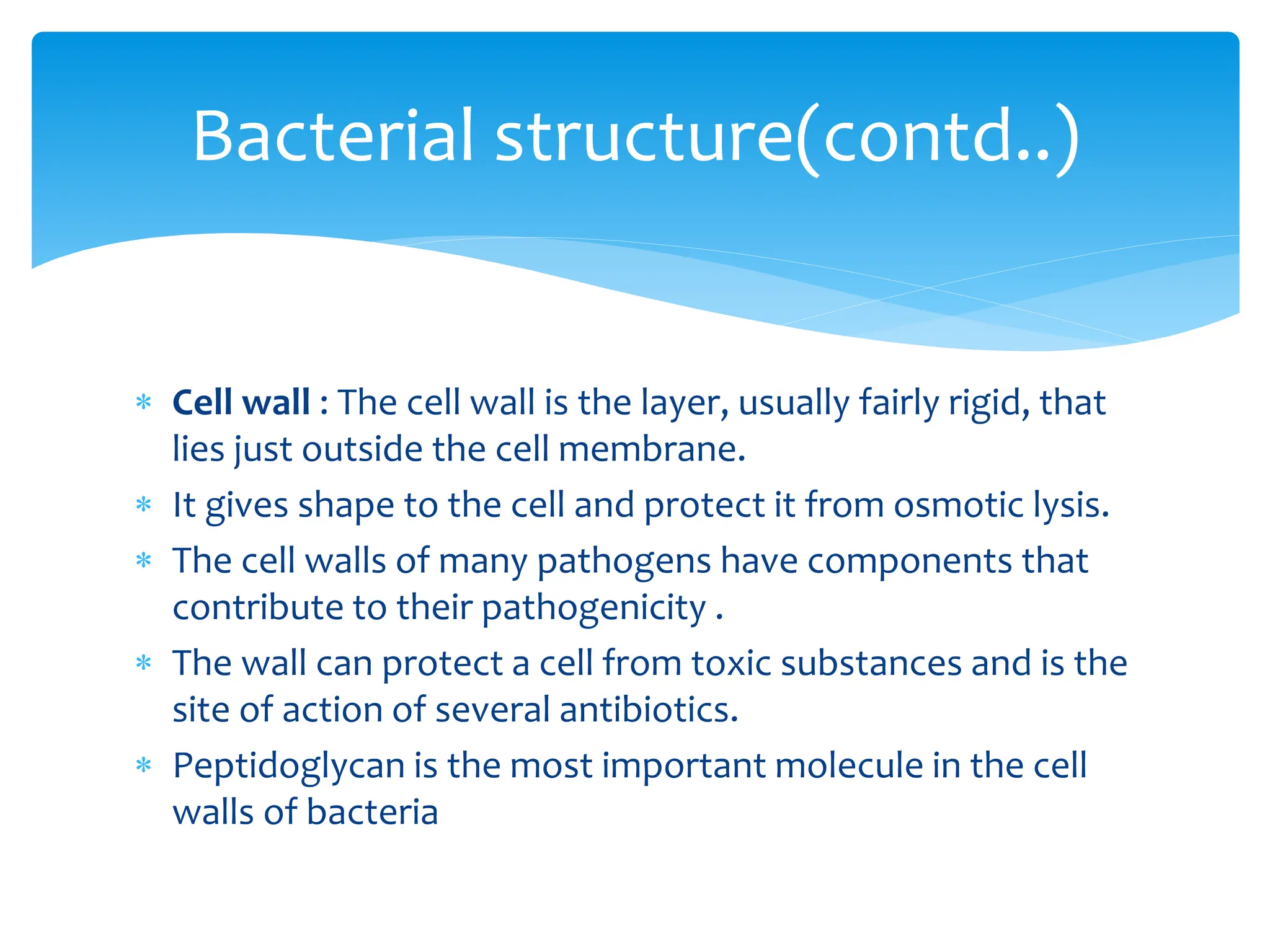 Bacterial cell structure and functions.pptx