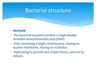 Bacterial cell structure and functions.pptx