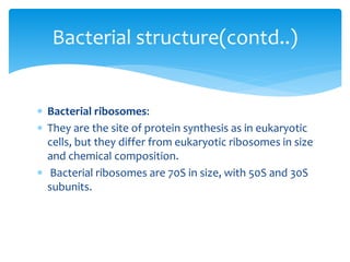 Bacterial cell structure and functions.pptx