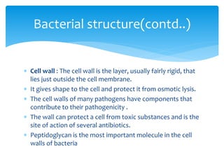 Bacterial cell structure and functions.pptx
