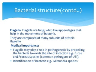 Bacterial cell structure and functions.pptx